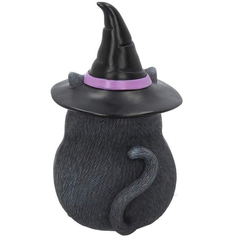 Chat Lucky Black Cat