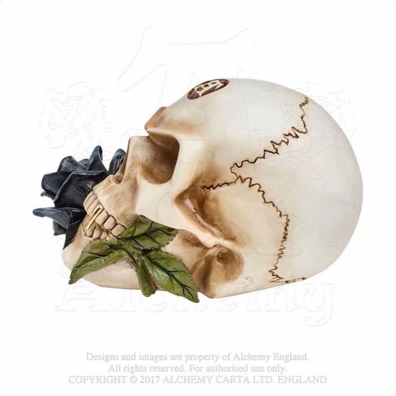 Figurine Alchemy Gothic Alchemist Skull with Rose